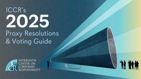 Now Out: The 2025 ICCR Proxy Resolutions and Voting Guide | Interfaith ...